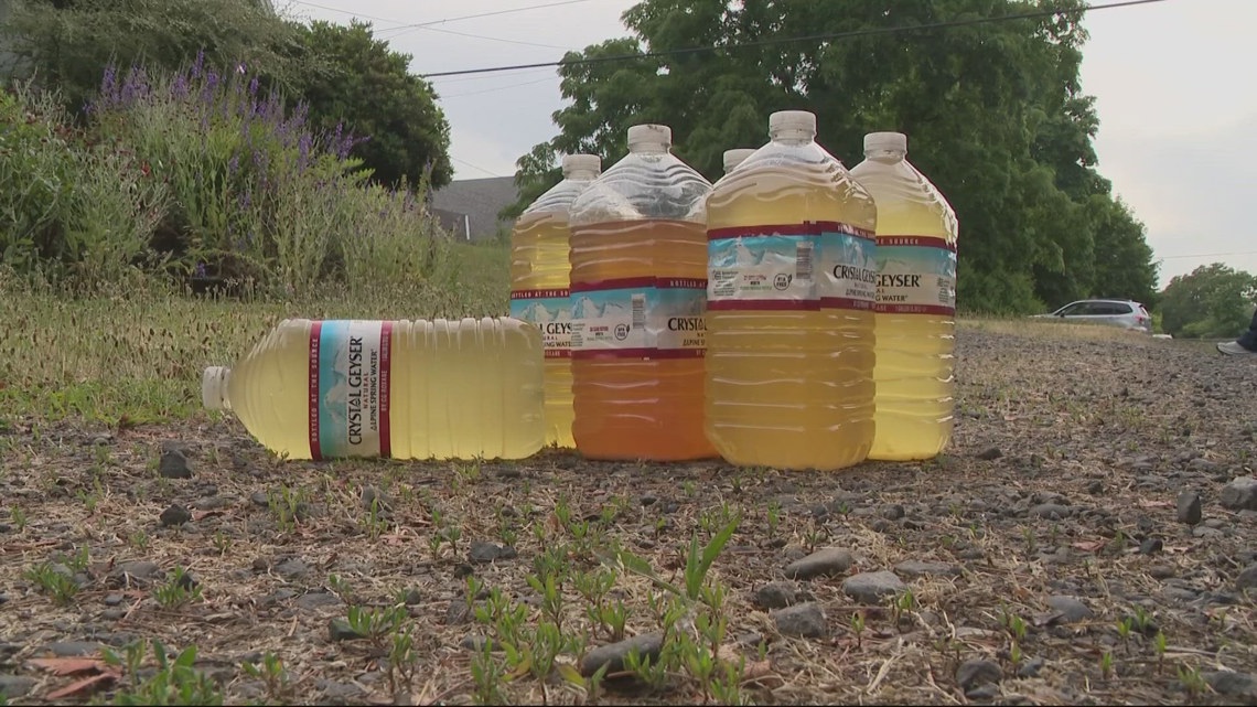 Is Portland stuck in an urban doom loop? Experts weigh in | kgw.com