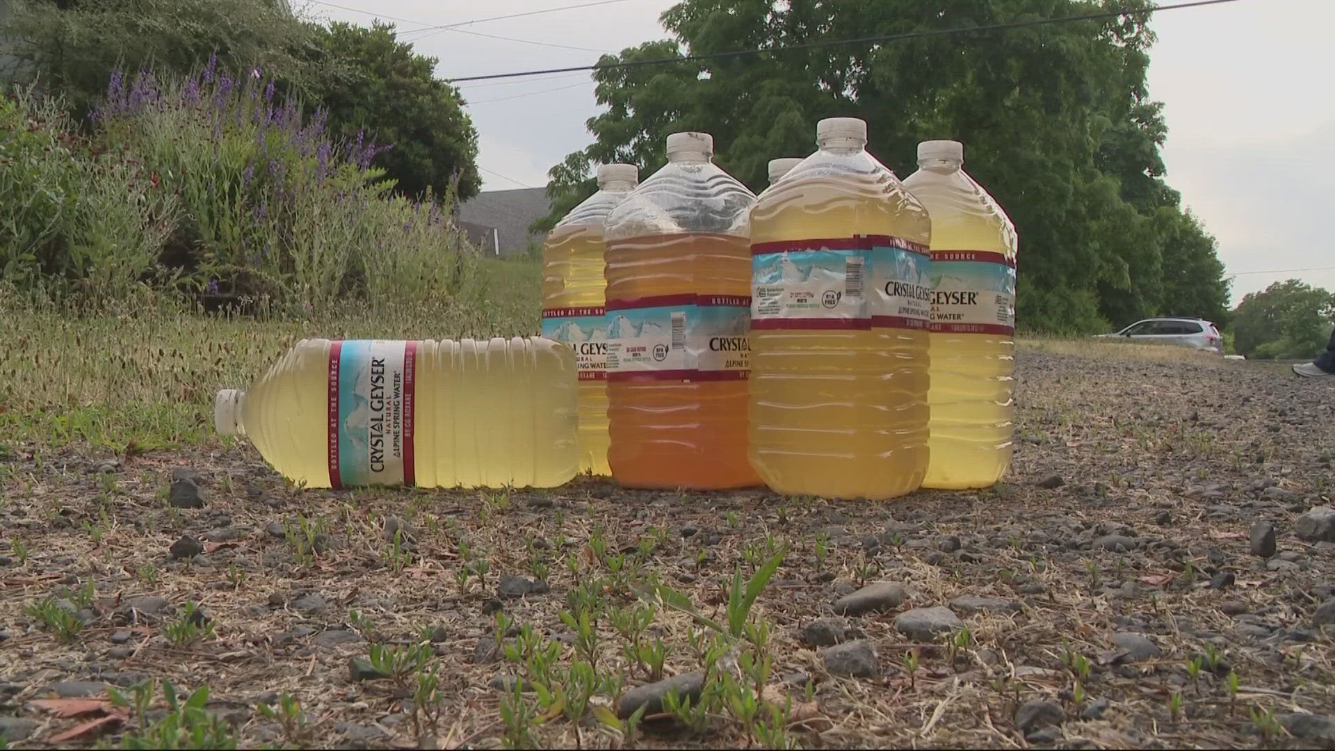 Neighbors find gallon jugs of suspected urine left in recycling bins ...