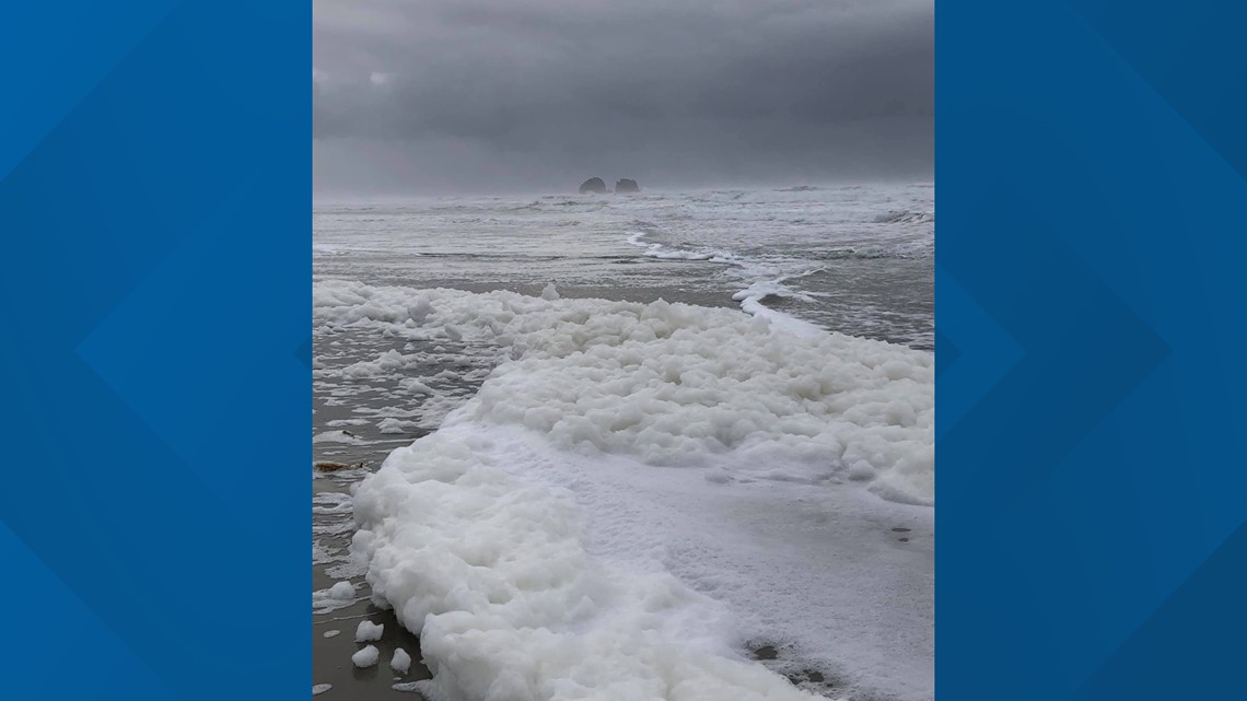 Videos and photos of King Tides on the Oregon Coast | kgw.com