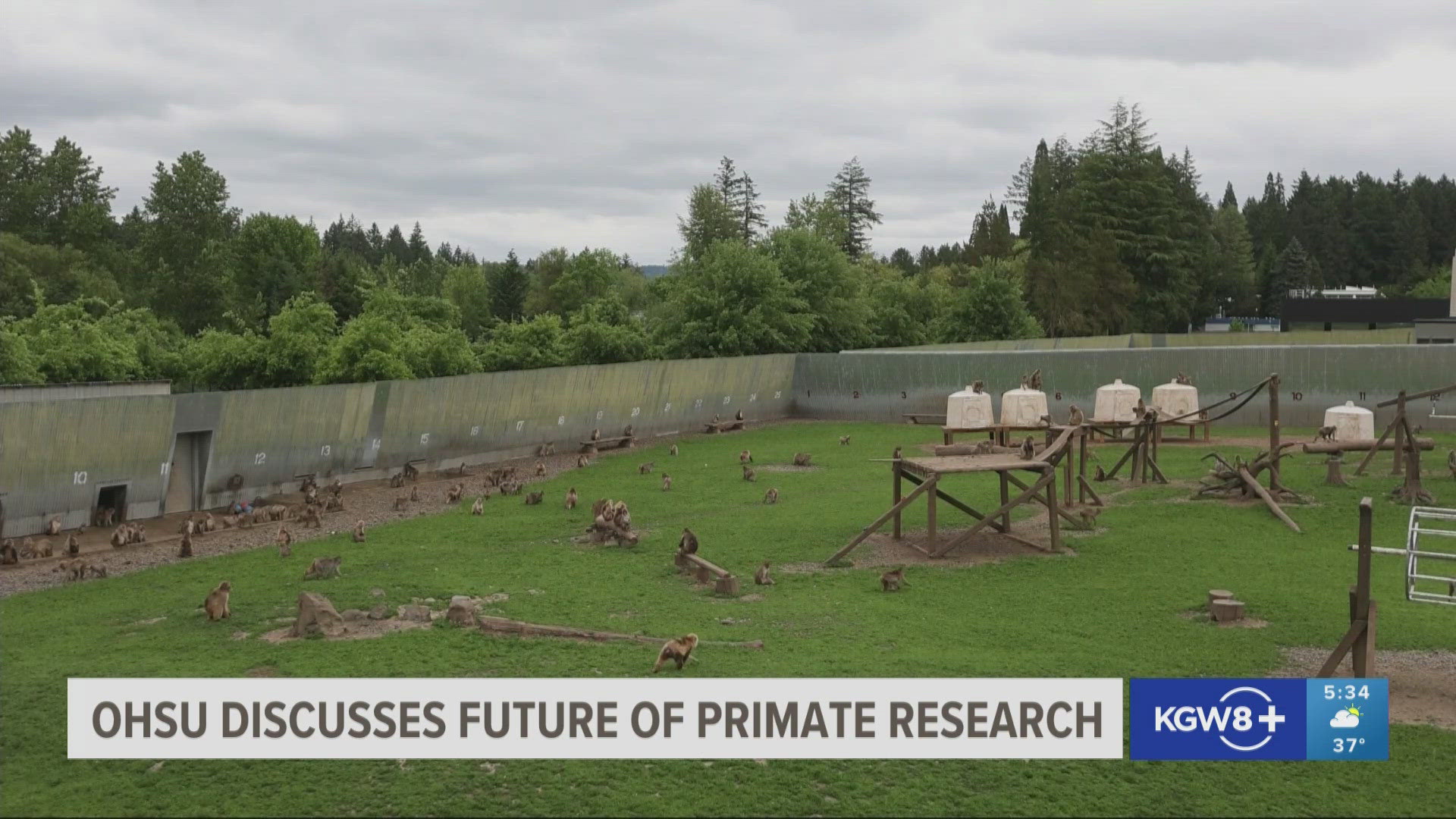 OHSU leaders discuss future of Primate Research Center | kgw.com