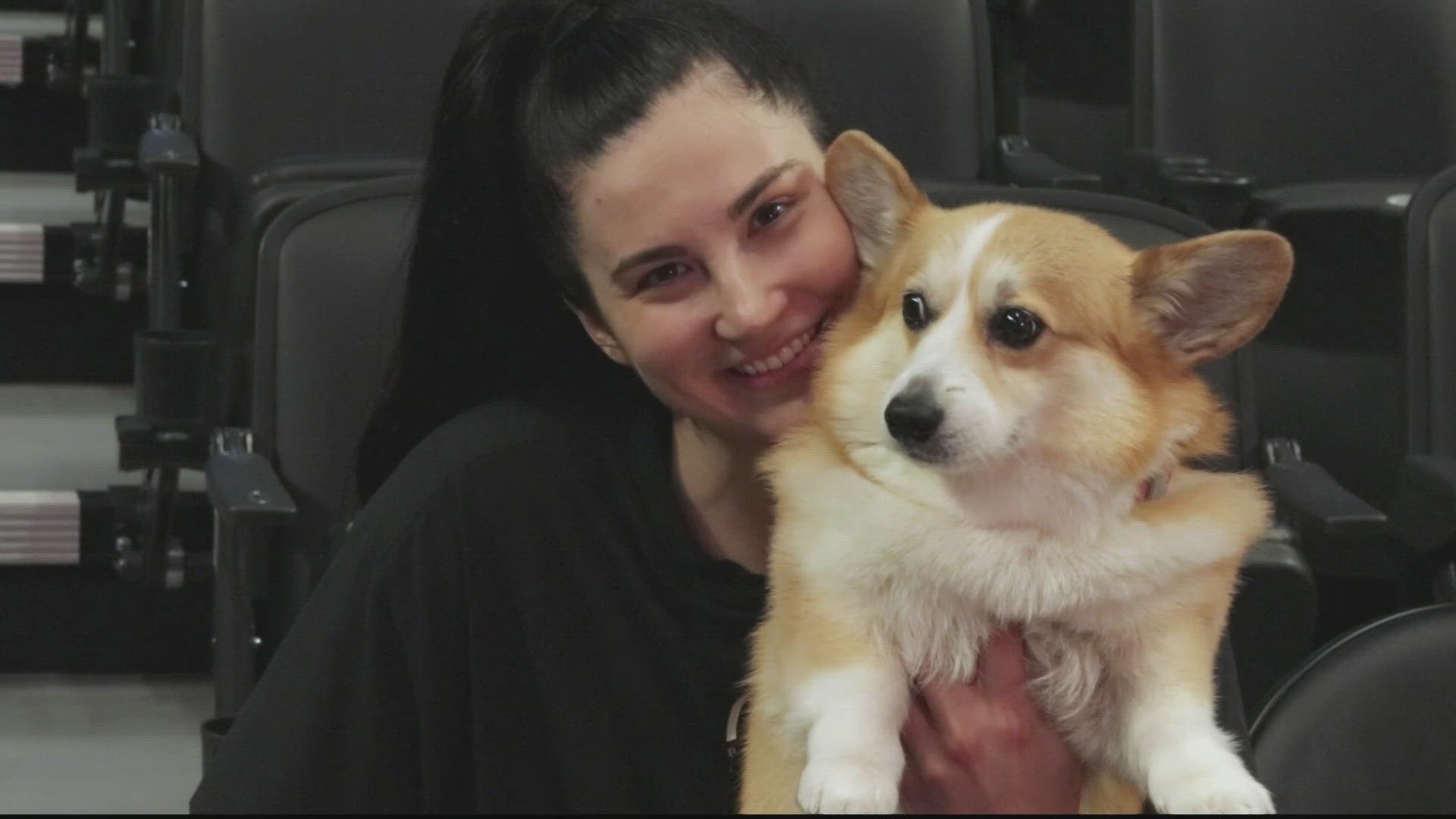 Pancake the corgi stands tall for the Portland Fire: 'She's brought so ...