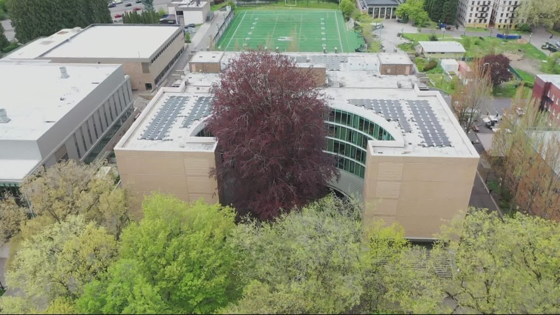 Tree on PSU campus dating back to 1800s dedicated as state heritage ...