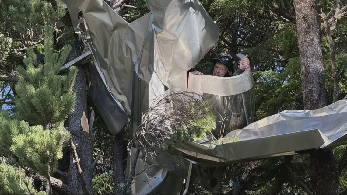 Pilot unharmed after plane lands in trees at coast airport | kgw.com