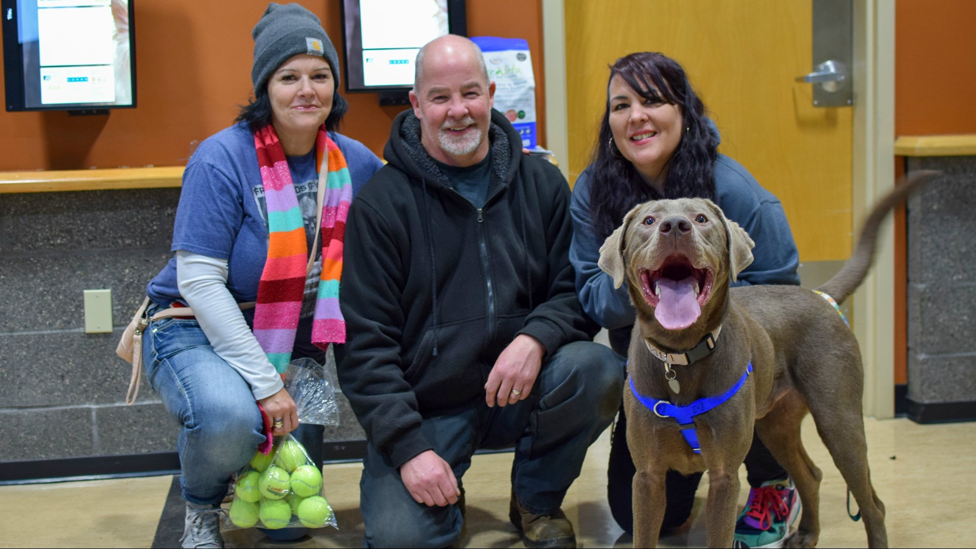 Oregon Humane Society reaches 11,000 pet adoptions | kgw.com