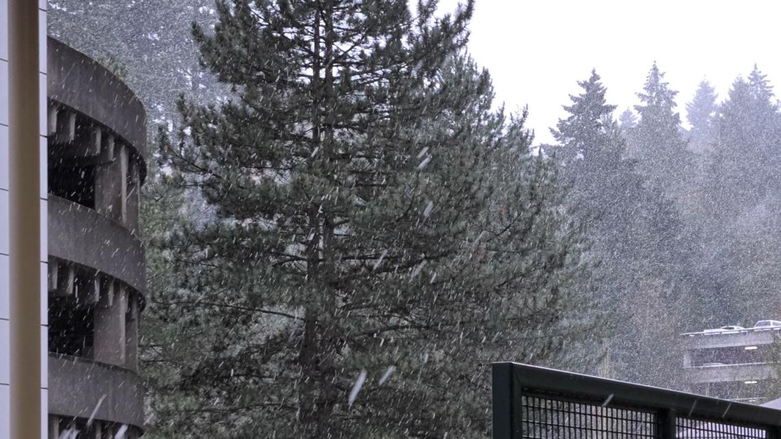Portland snow timeline: When lower elevations could see sticking snow ...