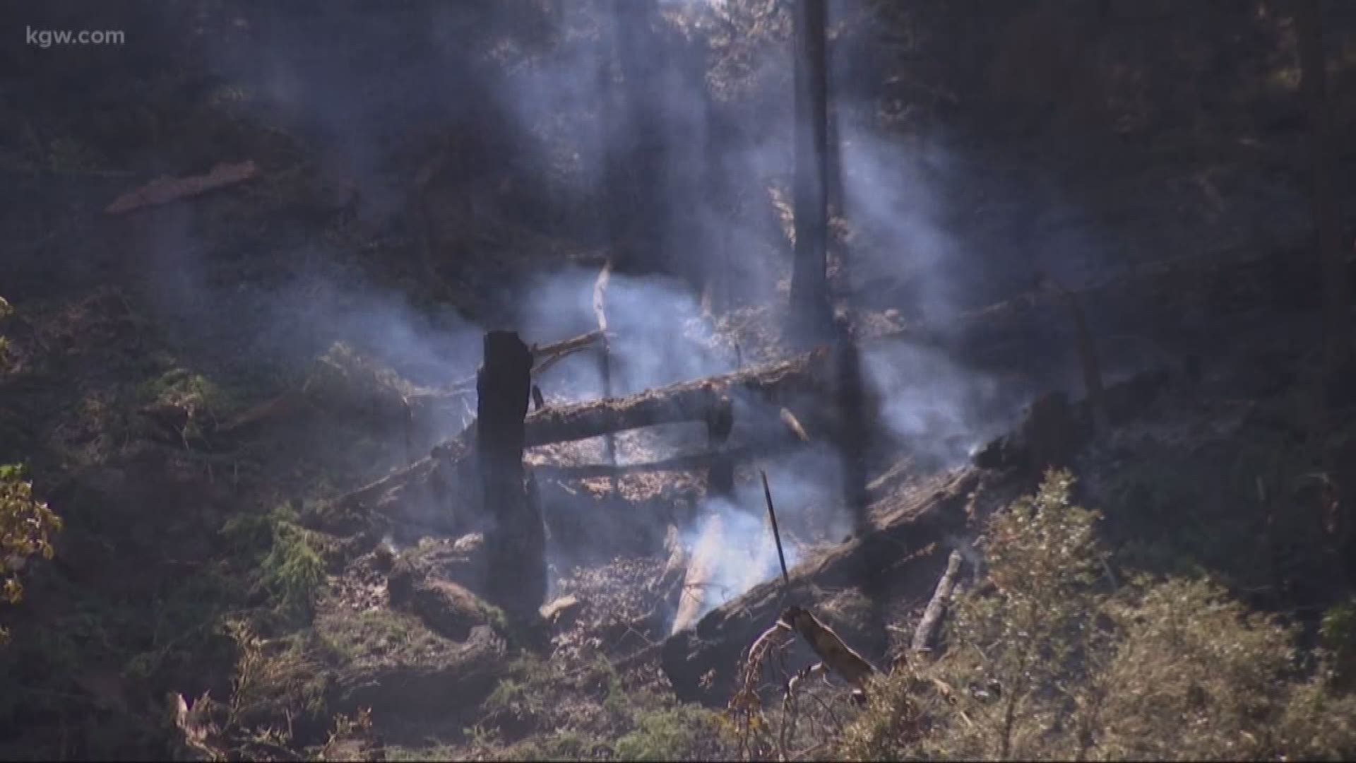 Firefighters making progress on Milepost 97 fire in Southern Oregon ...