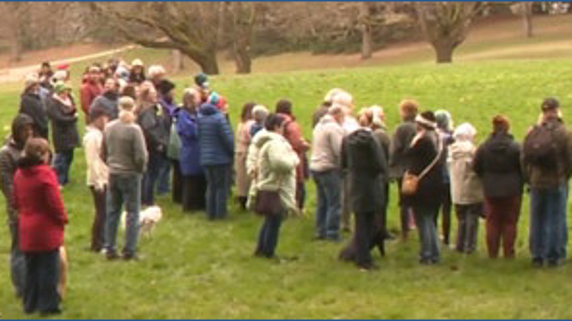 Rehabilitated bald eagle takes flight back into the wild after ...