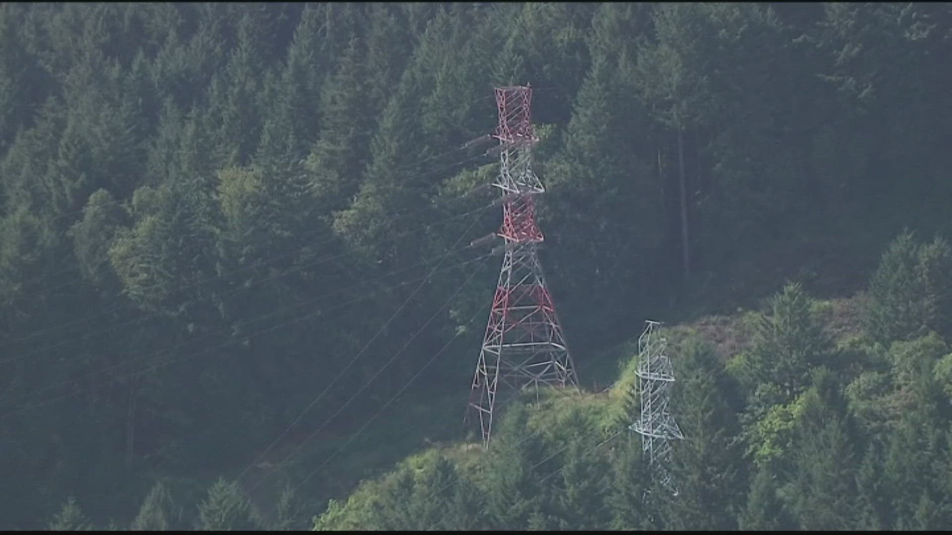 Forest Park advocates plan to appeal city’s approval of PGE powerline ...