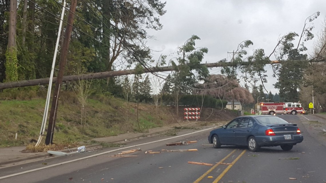 PHOTOS: Wind storm topples trees across Portland region | kgw.com