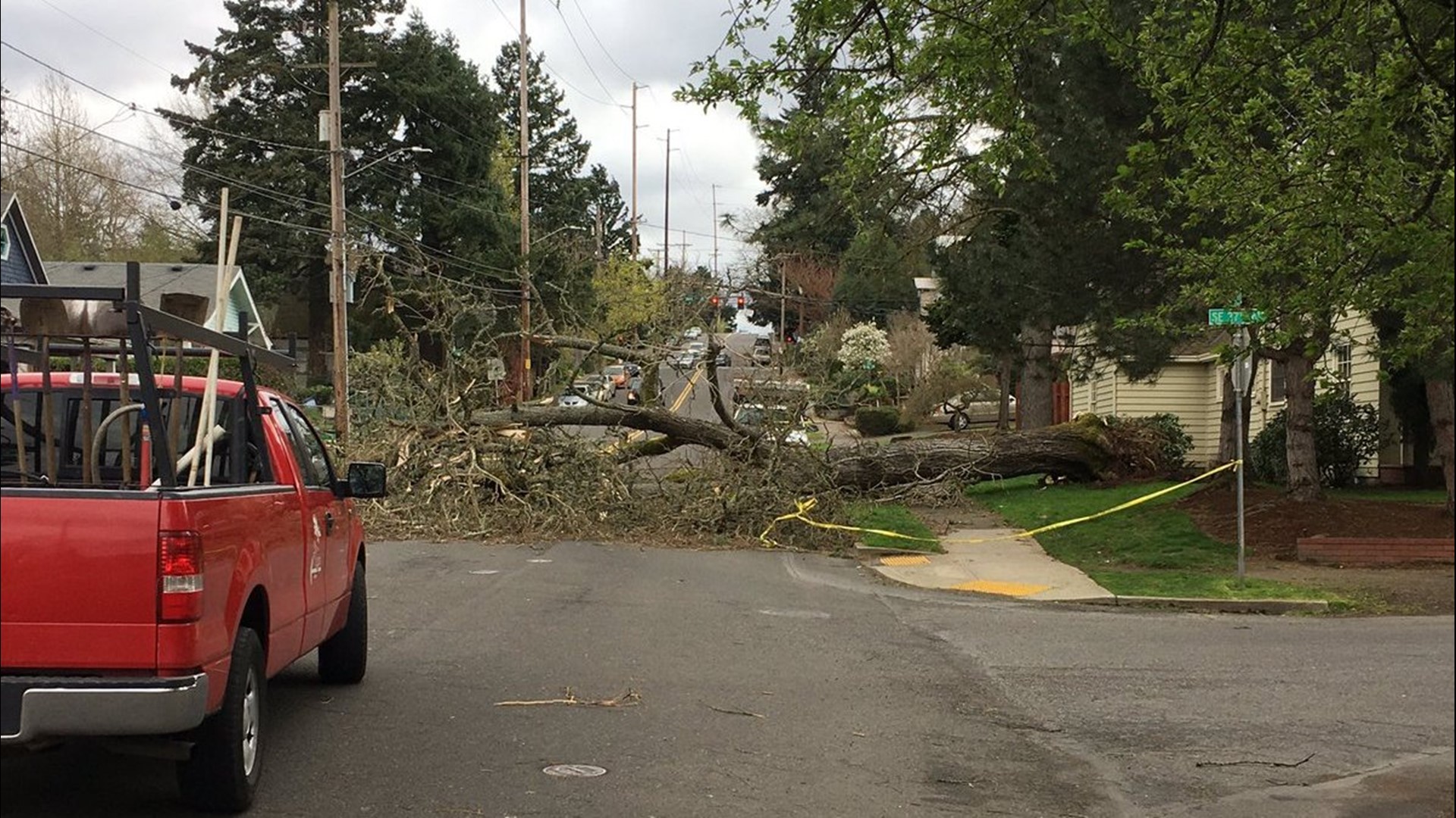 PHOTOS: Wind storm topples trees across Portland region | kgw.com