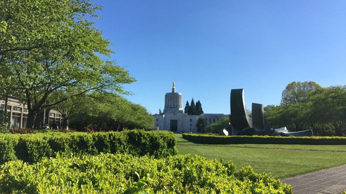 Who is running for secretary of state of Oregon in 2020? | kgw.com