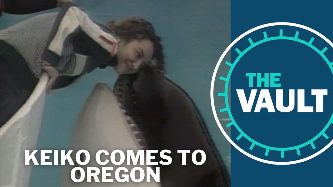 Keiko’s journey from captivity to the Oregon Coast | KGW Vault | kgw.com