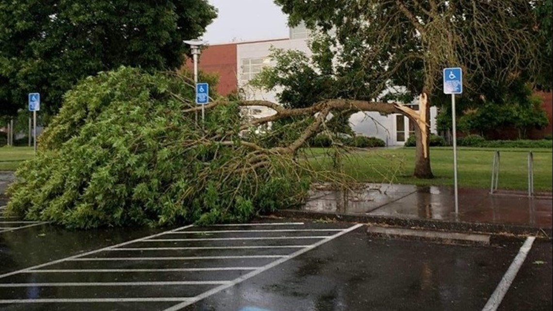 Oregon weather: Severe Thunderstorm Watch in Oregon could bring stormy ...