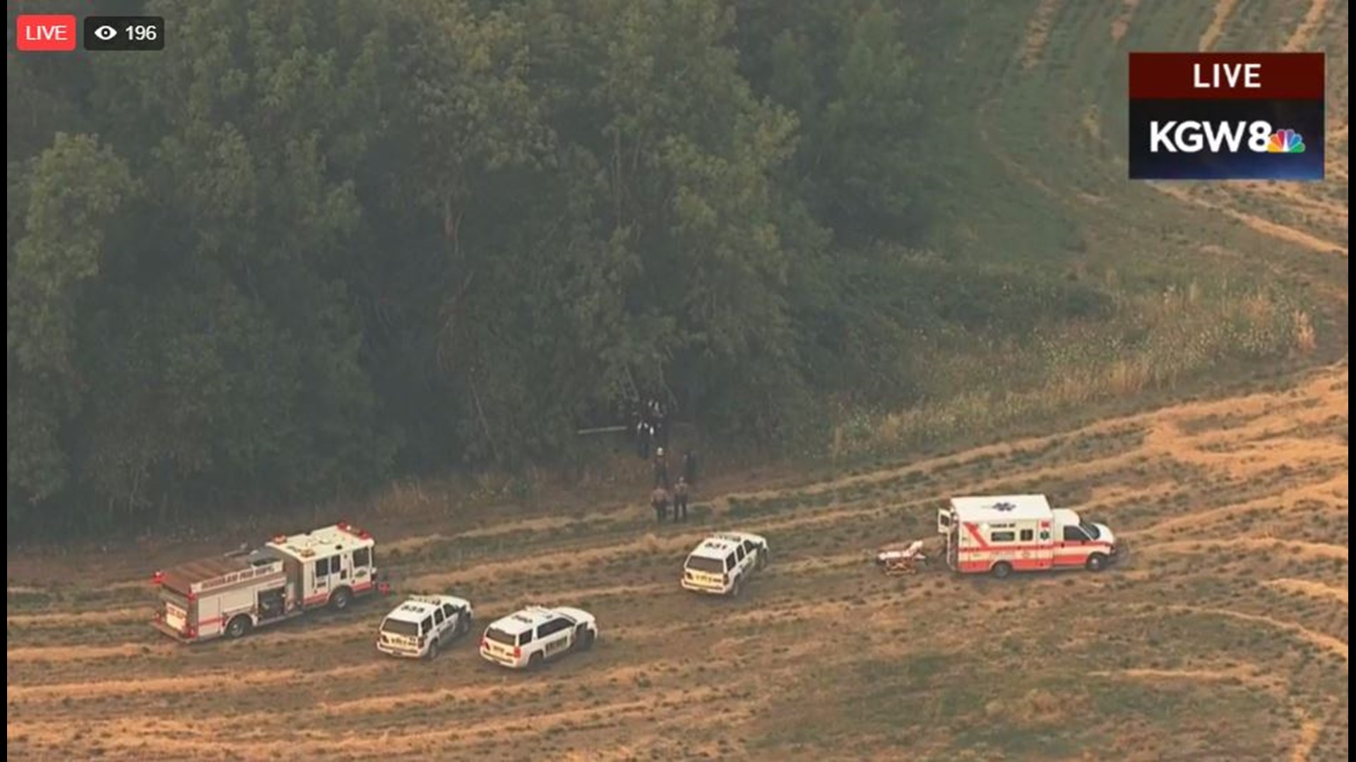 Photos: Suspect stuck in tree after Wash. Co. police chase | kgw.com