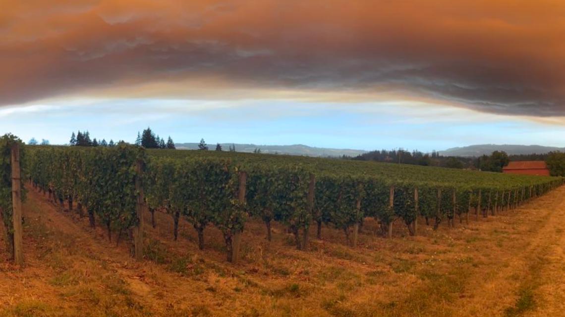 High Wind Warning in effect for NW Oregon, SW Washington | kgw.com