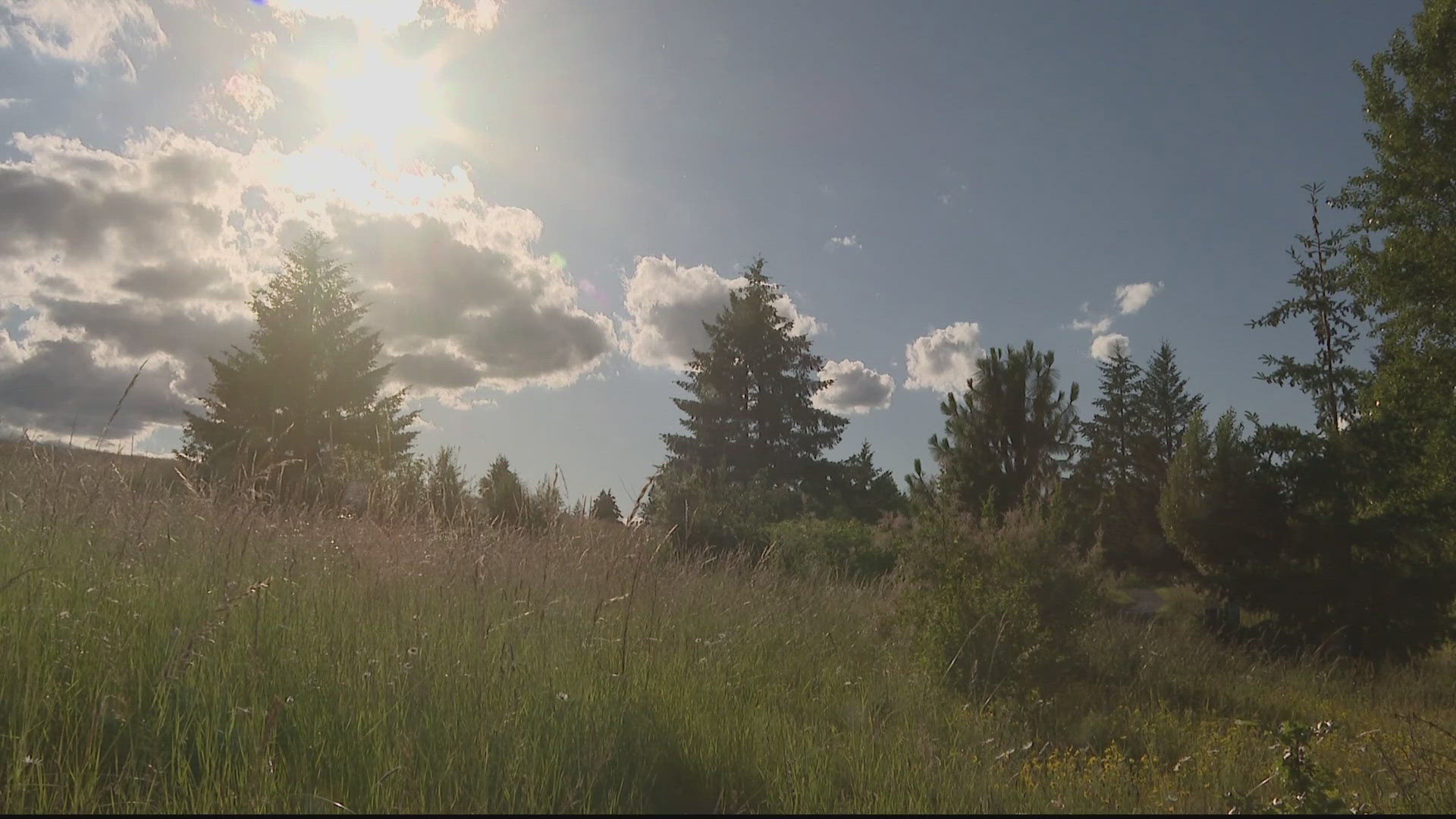 Multnomah County warns of rising tick activity across Portland metro ...