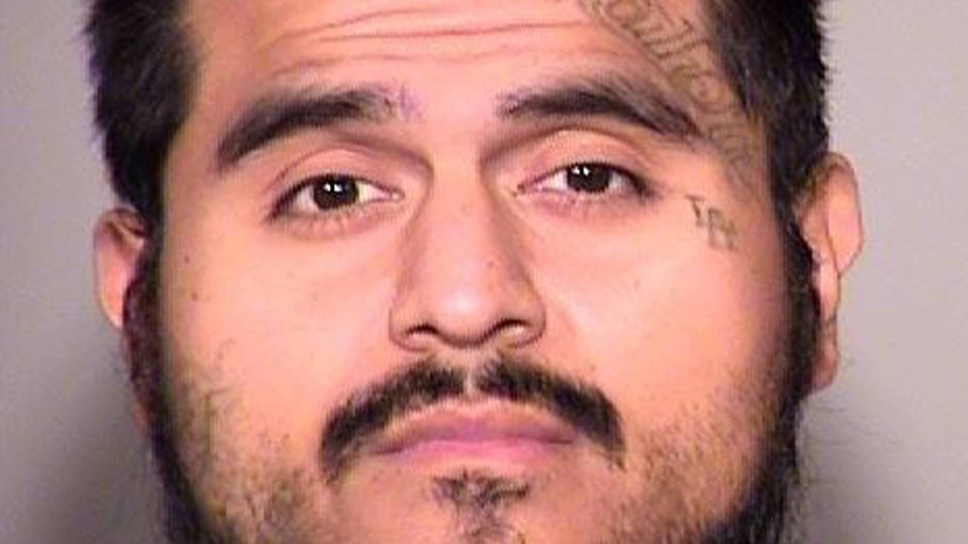 Driver in I-84 bus stabbing had 'one focus: to get everyone off safely ...