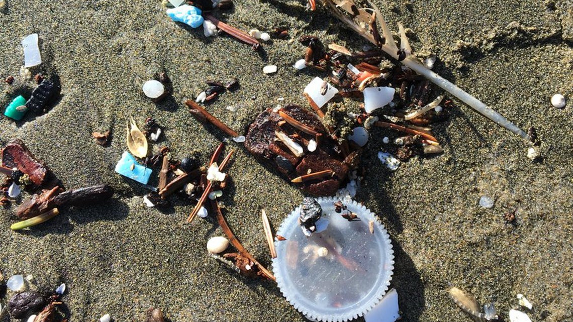 'Just unbelievable': Piles of trash washing up on Oregon Coast | kgw.com