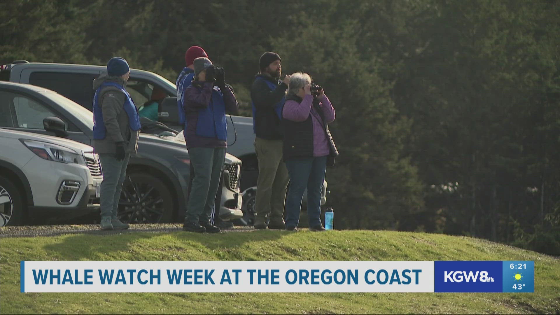 Visitors vie for a glimpse of gray whales off the Oregon coast | kgw.com