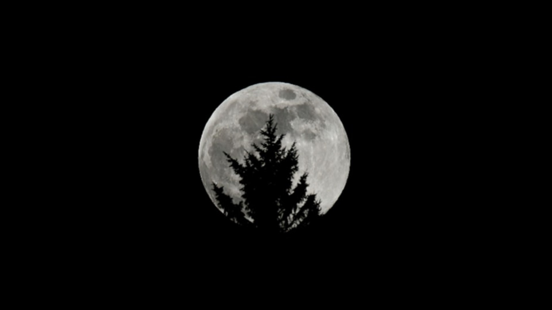 Your photos: 'Flower' supermoon rises over Oregon | kgw.com