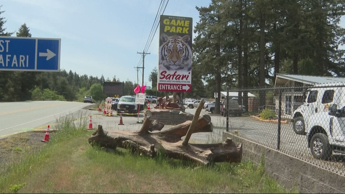 West Coast Game Park Safari owner pleads guilty to over 40 animal ...