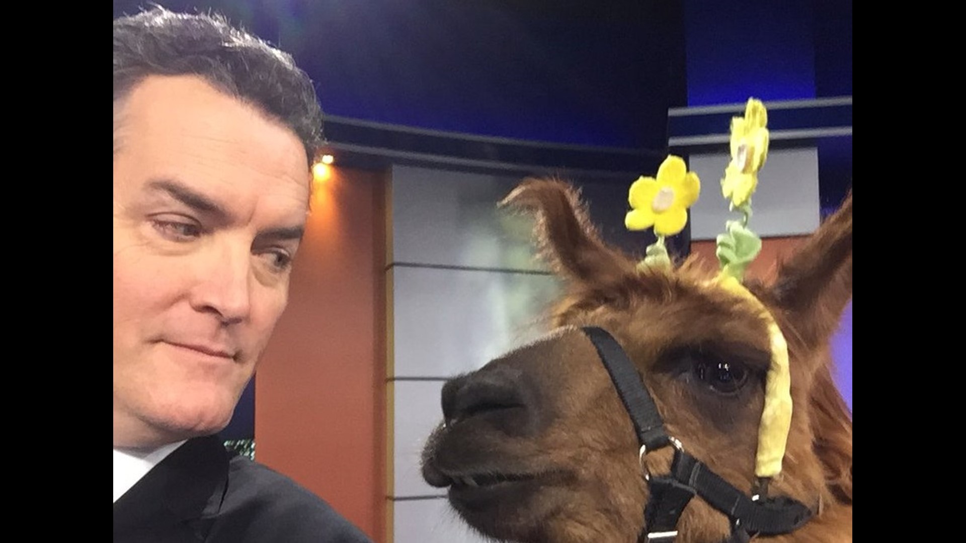 Photos: KGW anchor Joe Donlon through the years | kgw.com