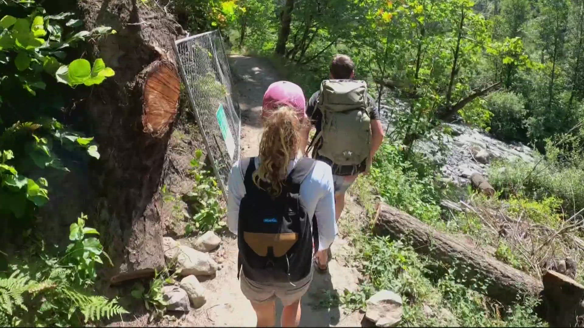 10 essentials hikers should carry before heading out in Oregon, Washington | kgw.com