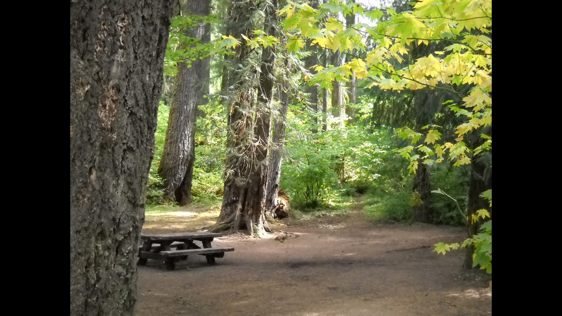Grant's Getaways: Aufderheide Scenic Byway | kgw.com