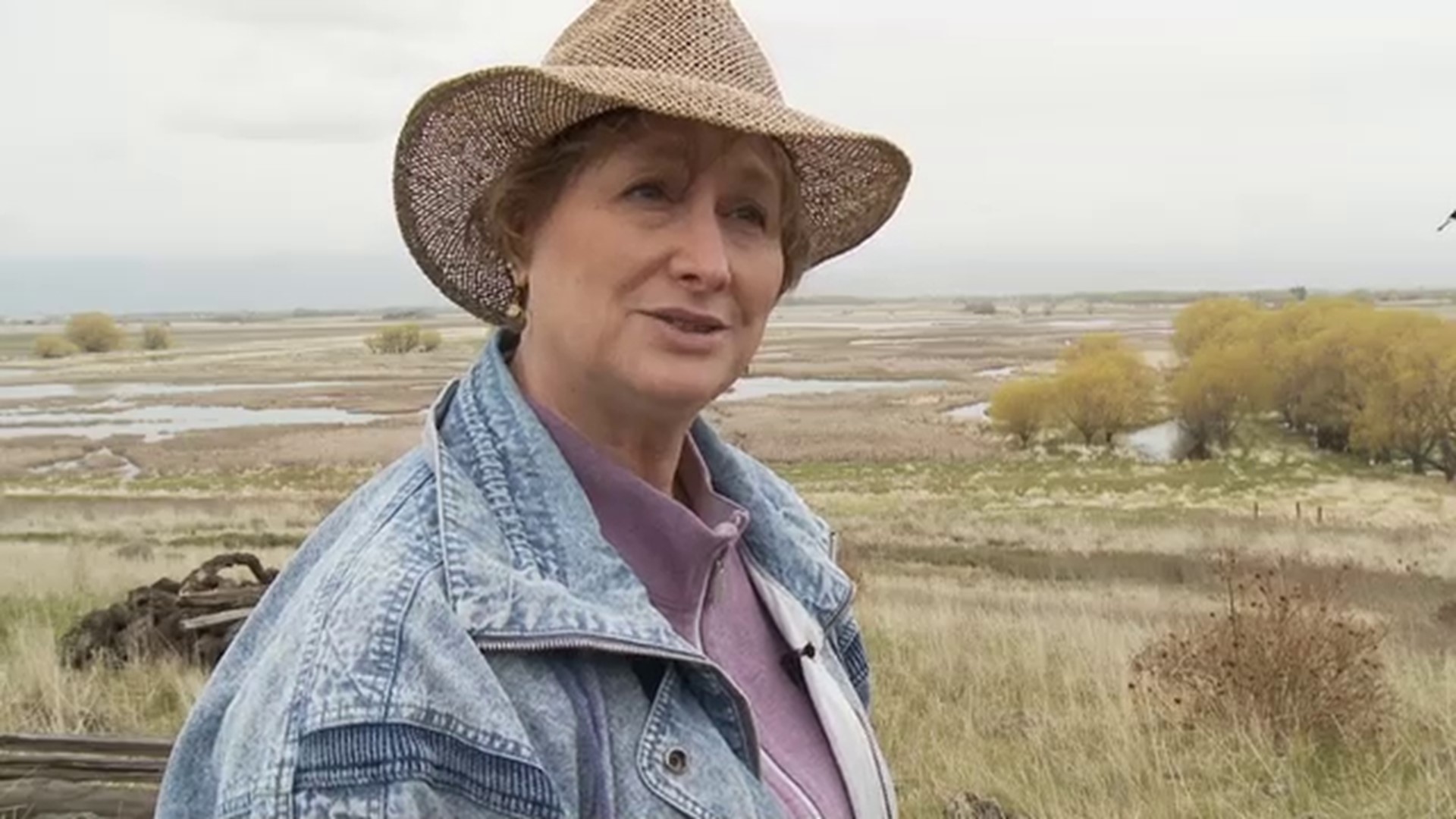 Photos: Ladd Marsh Wildlife Area | kgw.com