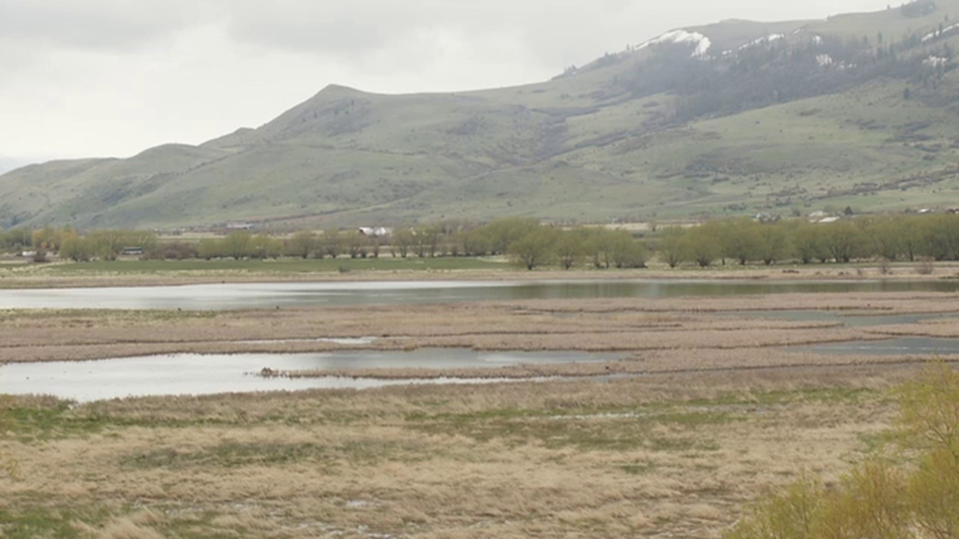 Photos: Ladd Marsh Wildlife Area | kgw.com