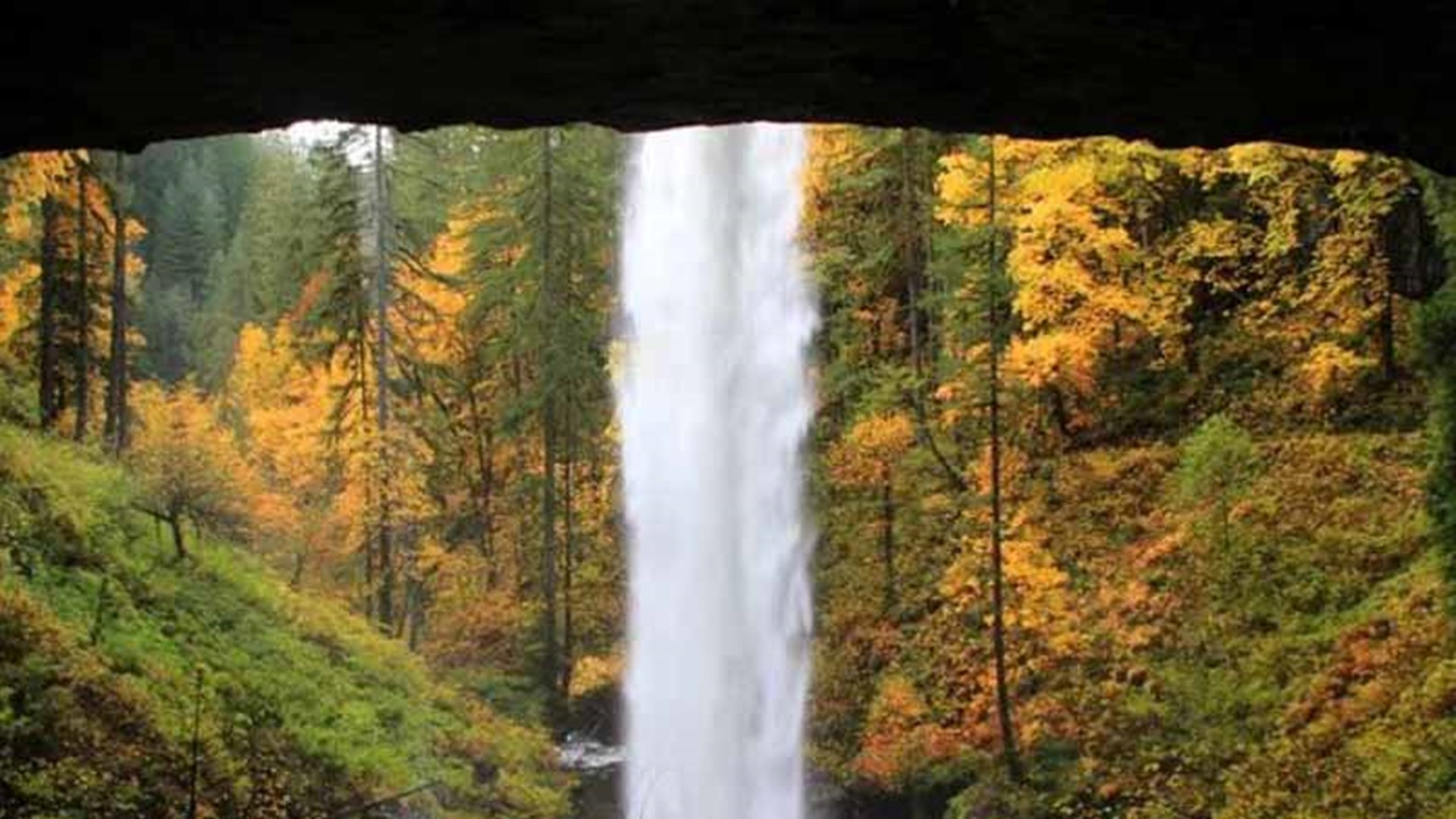 5 best easy hikes at Silver Falls State Park | kgw.com