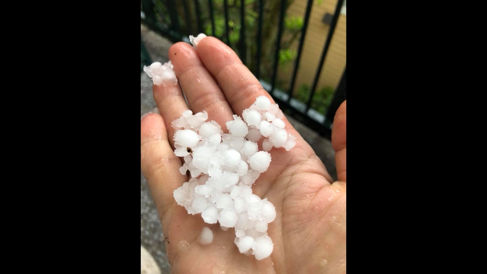 PHOTOS: Summer storm brings rain, hail and snow | kgw.com