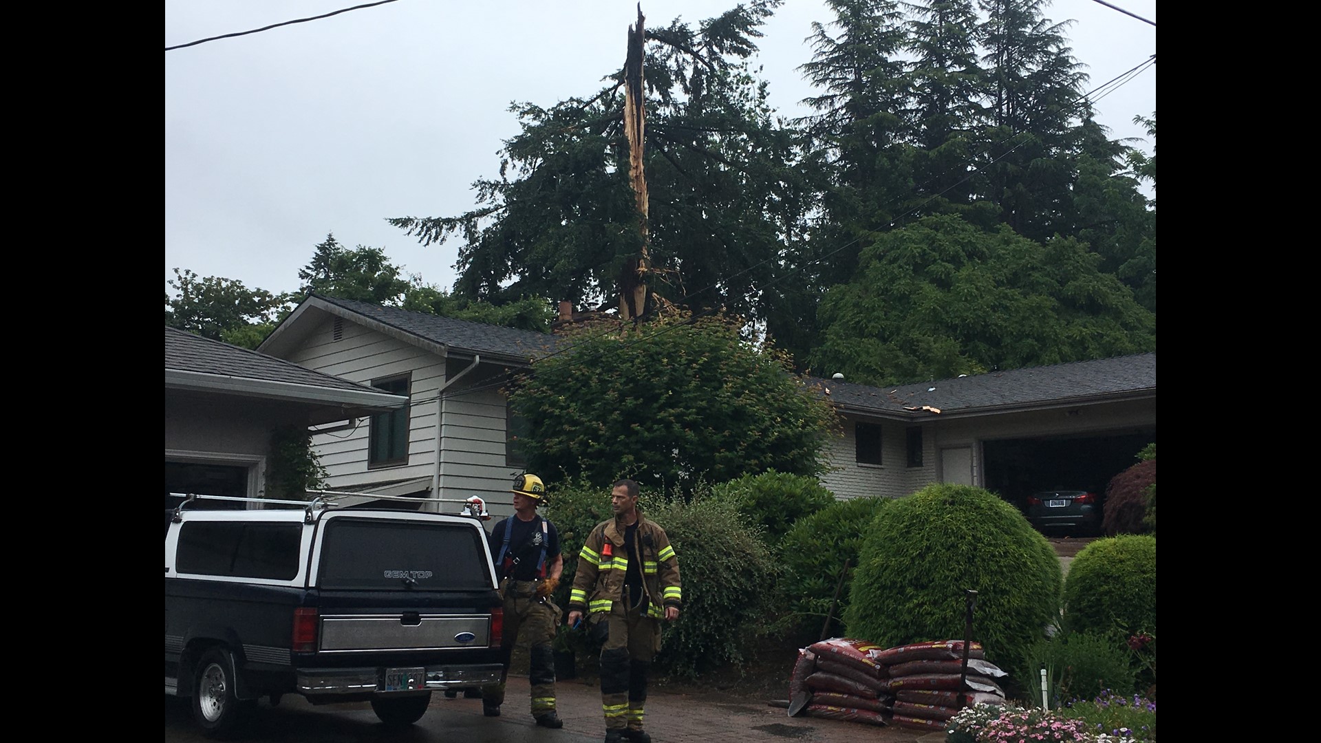 PHOTOS: Storm brings down tree in Beaverton | kgw.com