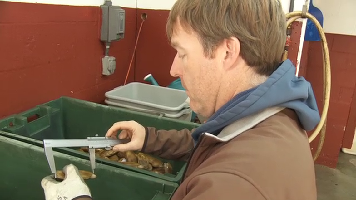 Grant's Getaways: King of the Clam Gun | kgw.com