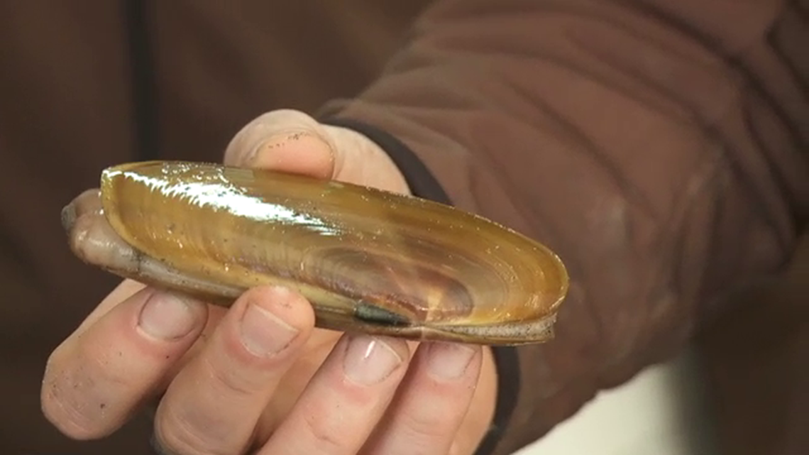 Grant's Getaways: King of the Clam Gun | kgw.com