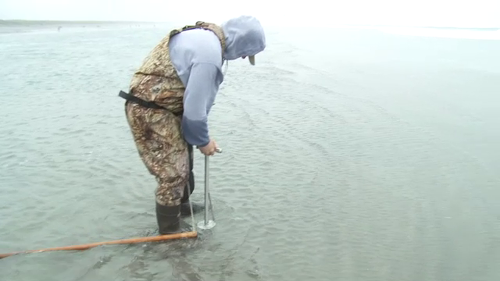 Grant's Getaways: King of the Clam Gun | kgw.com