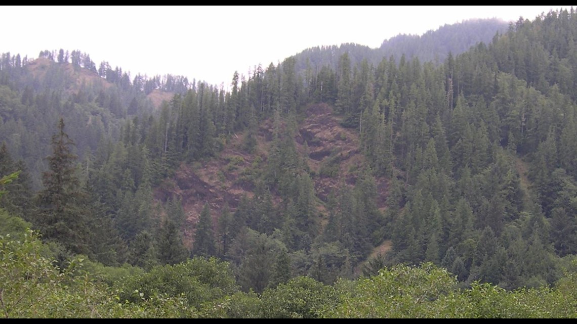 Grant's Getaways: Trask River Camping | kgw.com