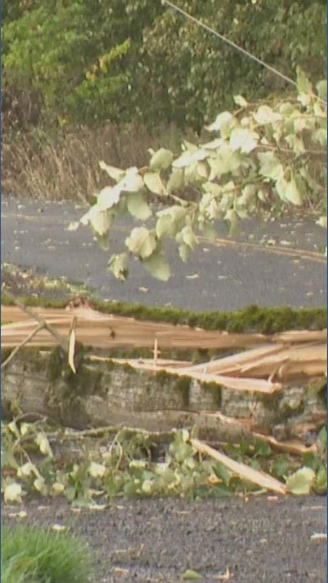 Heavy winds, rain cause downed trees and power lines throughout Oregon ...