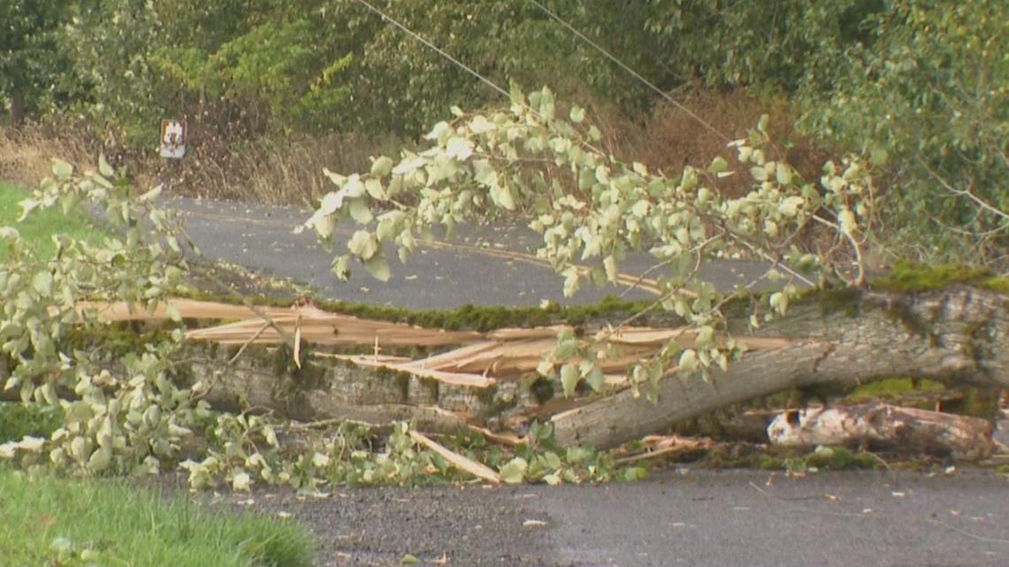 Heavy winds, rain cause downed trees and power lines throughout Oregon ...