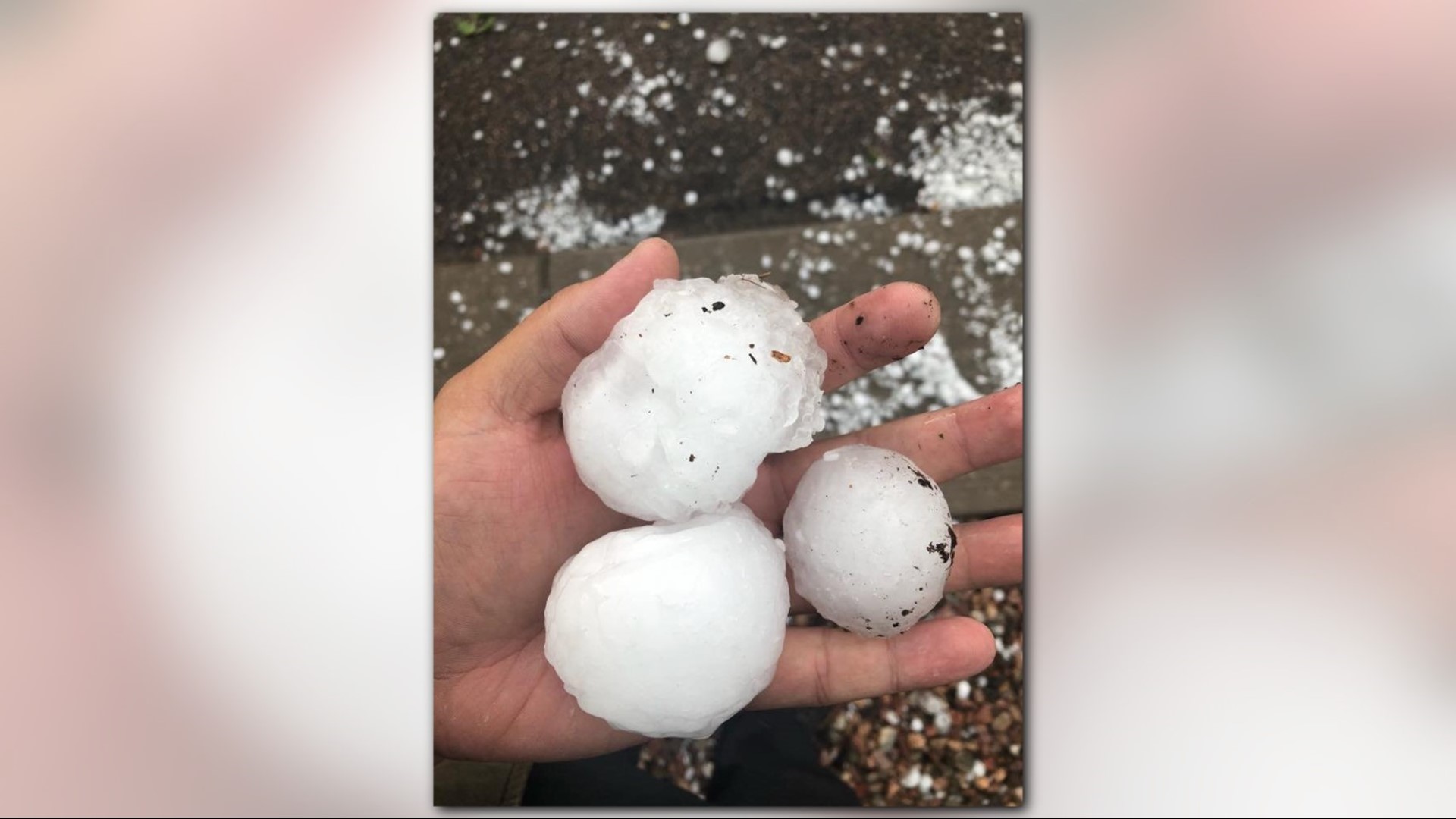 14 people hurt, 2 zoo animals killed by softball-sized hail in Colo ...