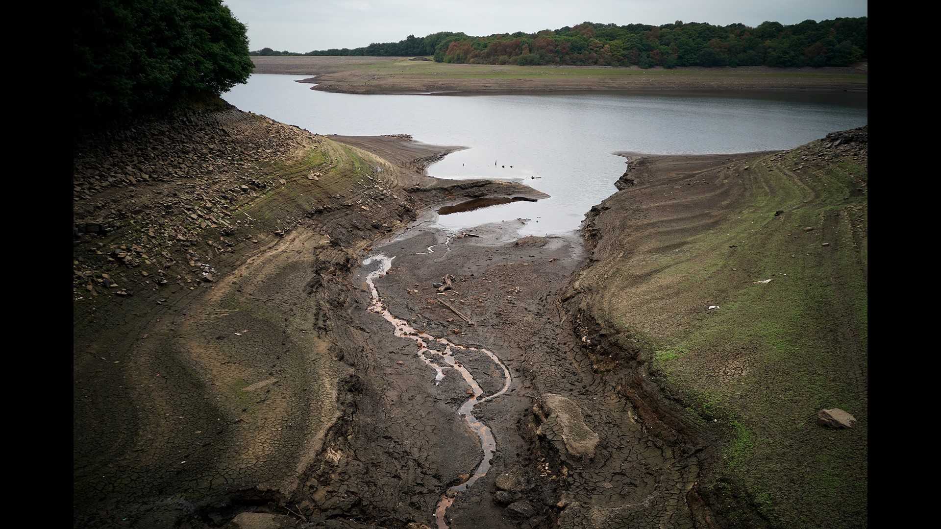 Photos: Severe drought in Europe | kgw.com