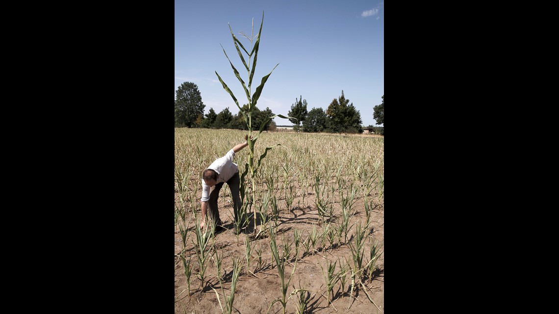 Photos: Severe drought in Europe | kgw.com