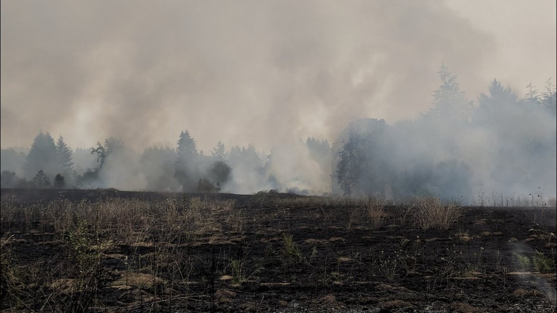 Brush fire burns 15-20 acres, four structures in Forest Grove | kgw.com
