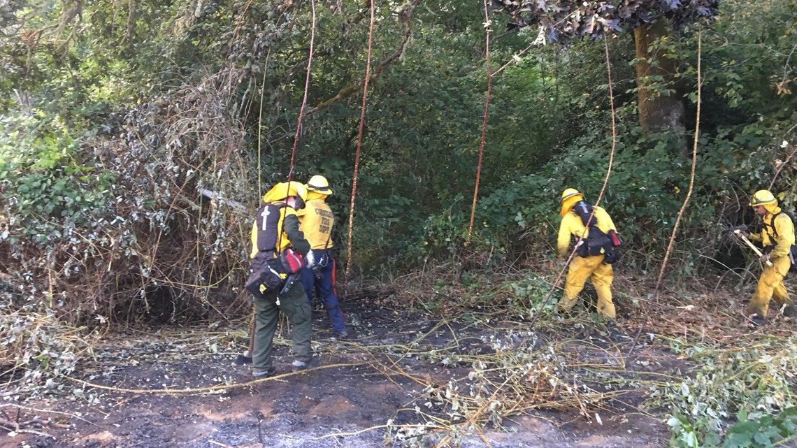 Brush fire burns 15-20 acres, four structures in Forest Grove | kgw.com