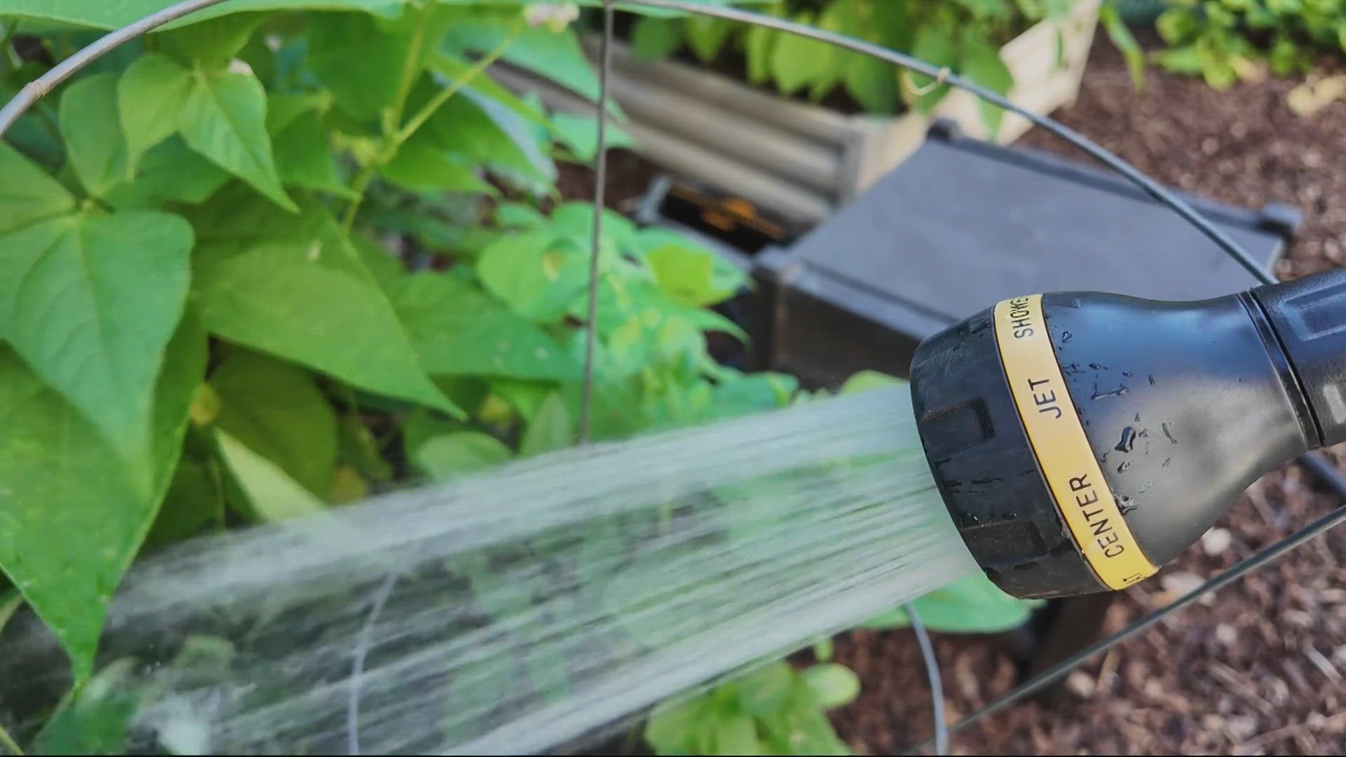 Conserving water during summer in Portland | kgw.com