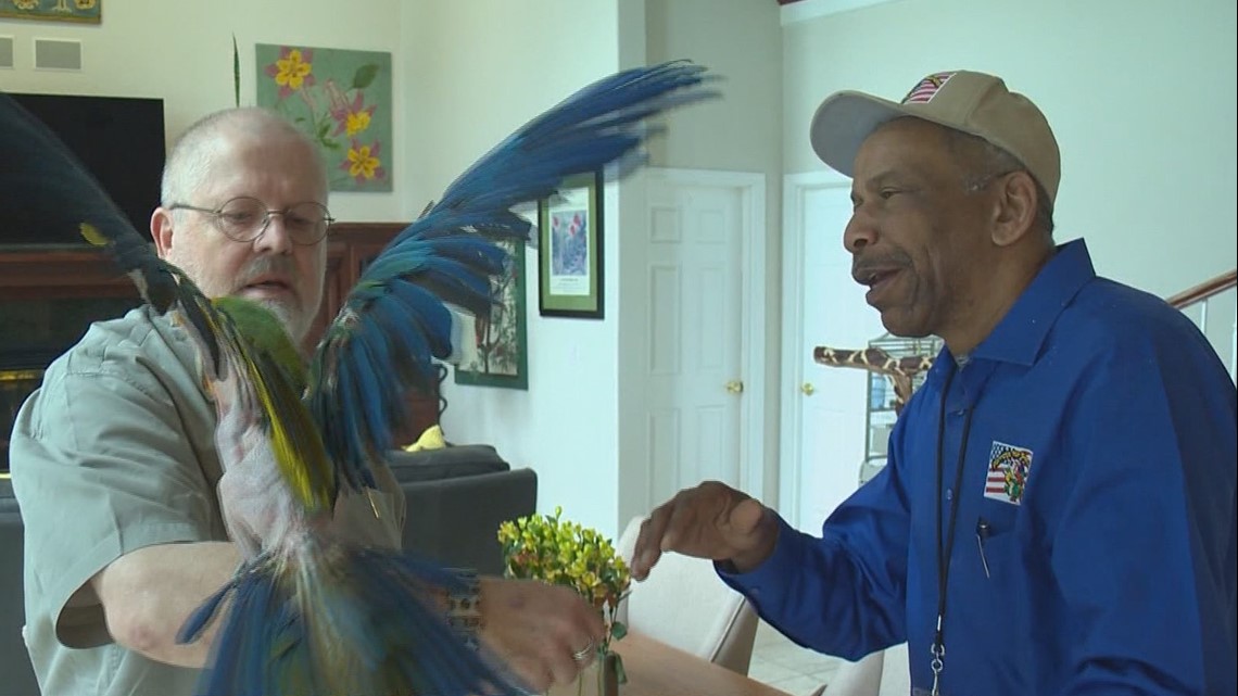 Parrots for Patriots: Washington veteran adopts out birds to help other ...