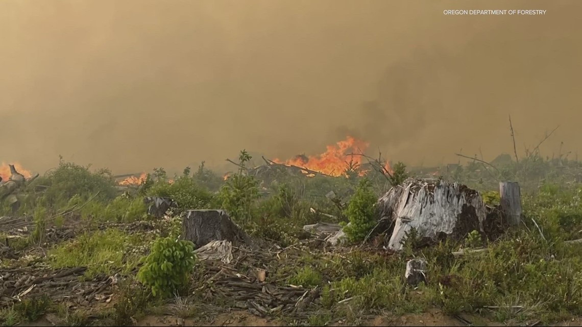 More crews assigned to Oregon wildfire burning in Lane County | kgw.com
