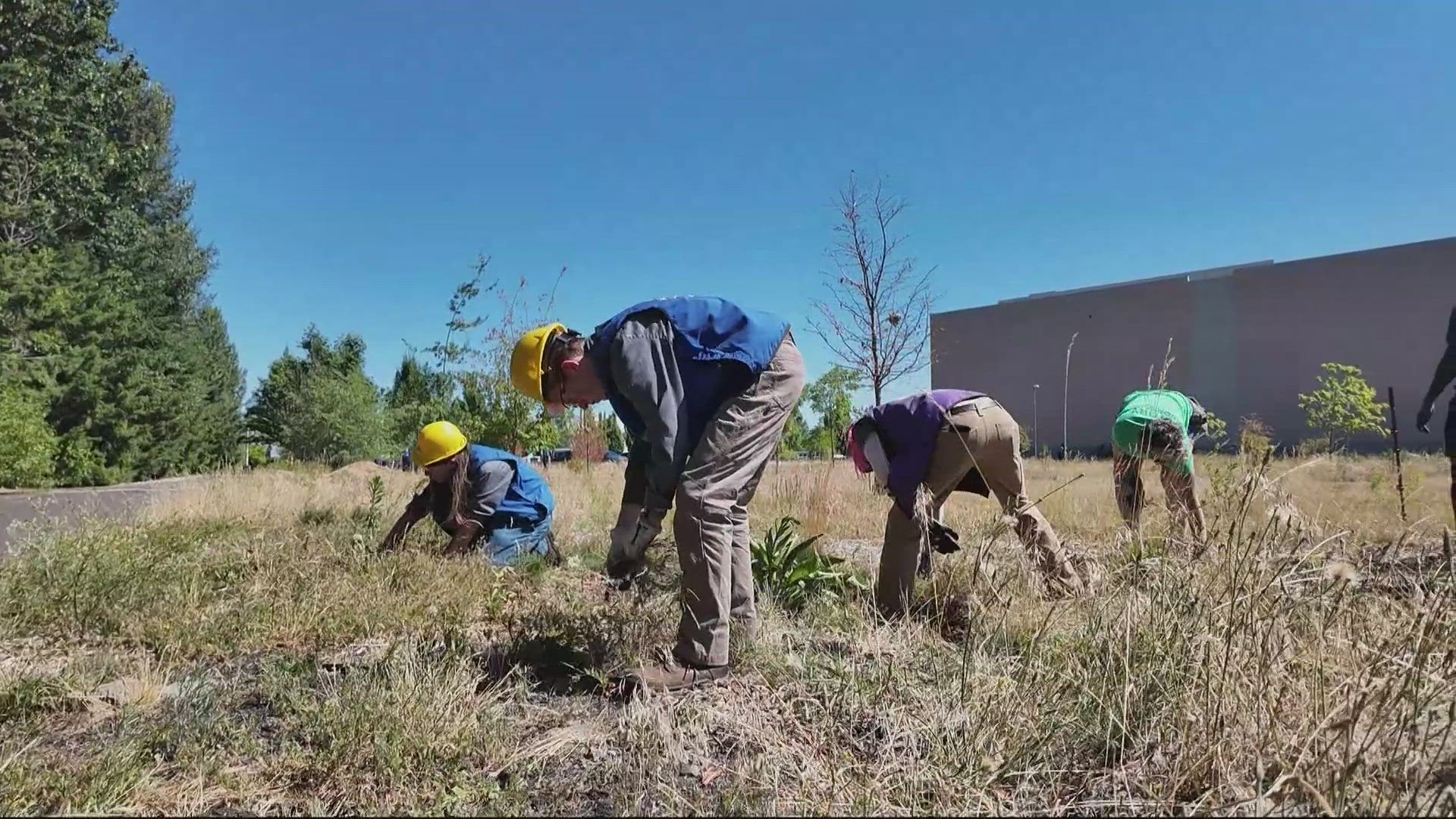 Timbers players, fans team up for Stand Together Week cleanup and ...
