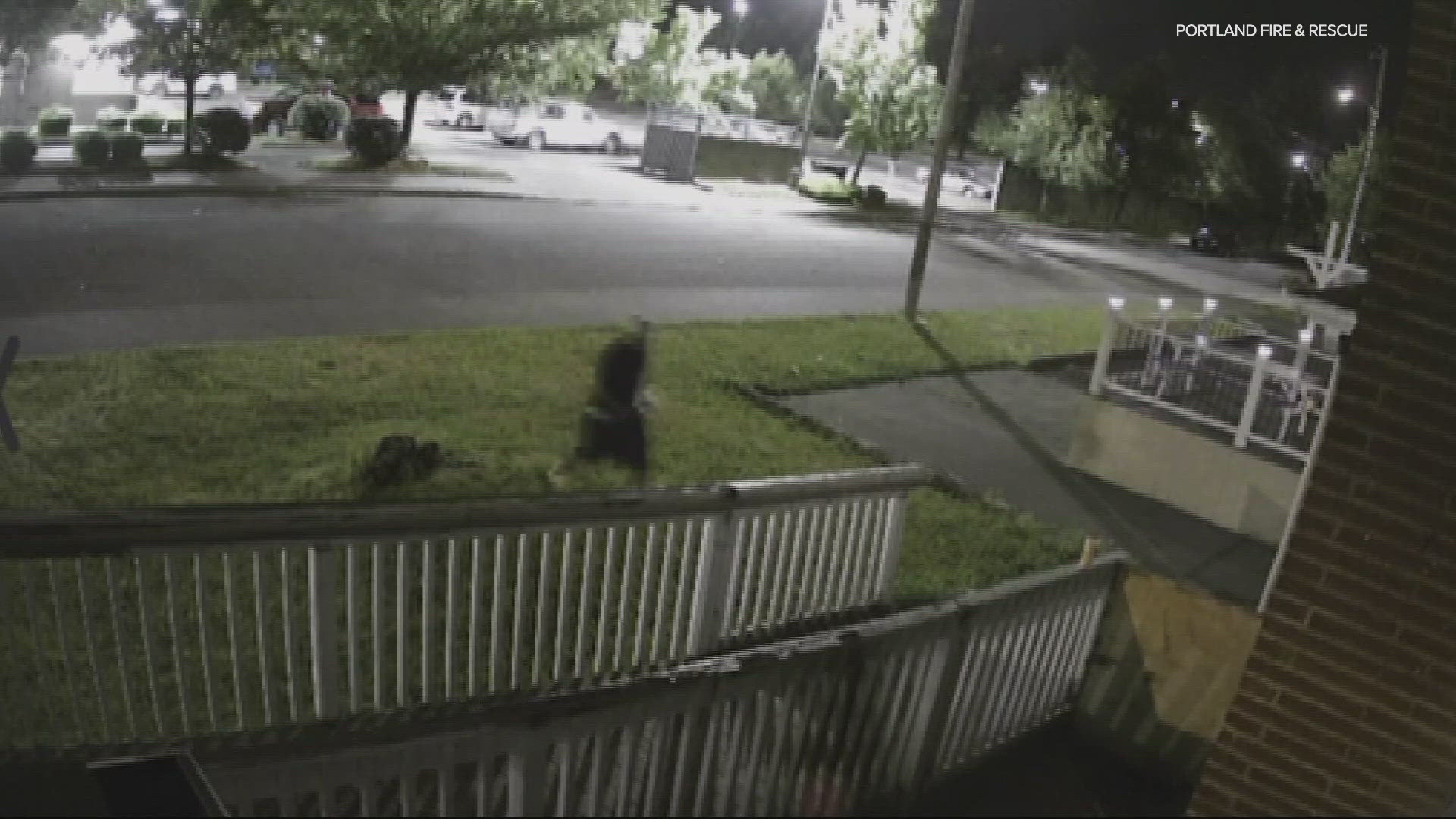 Fire investigators seek public's help identifying arsonist who torched ...