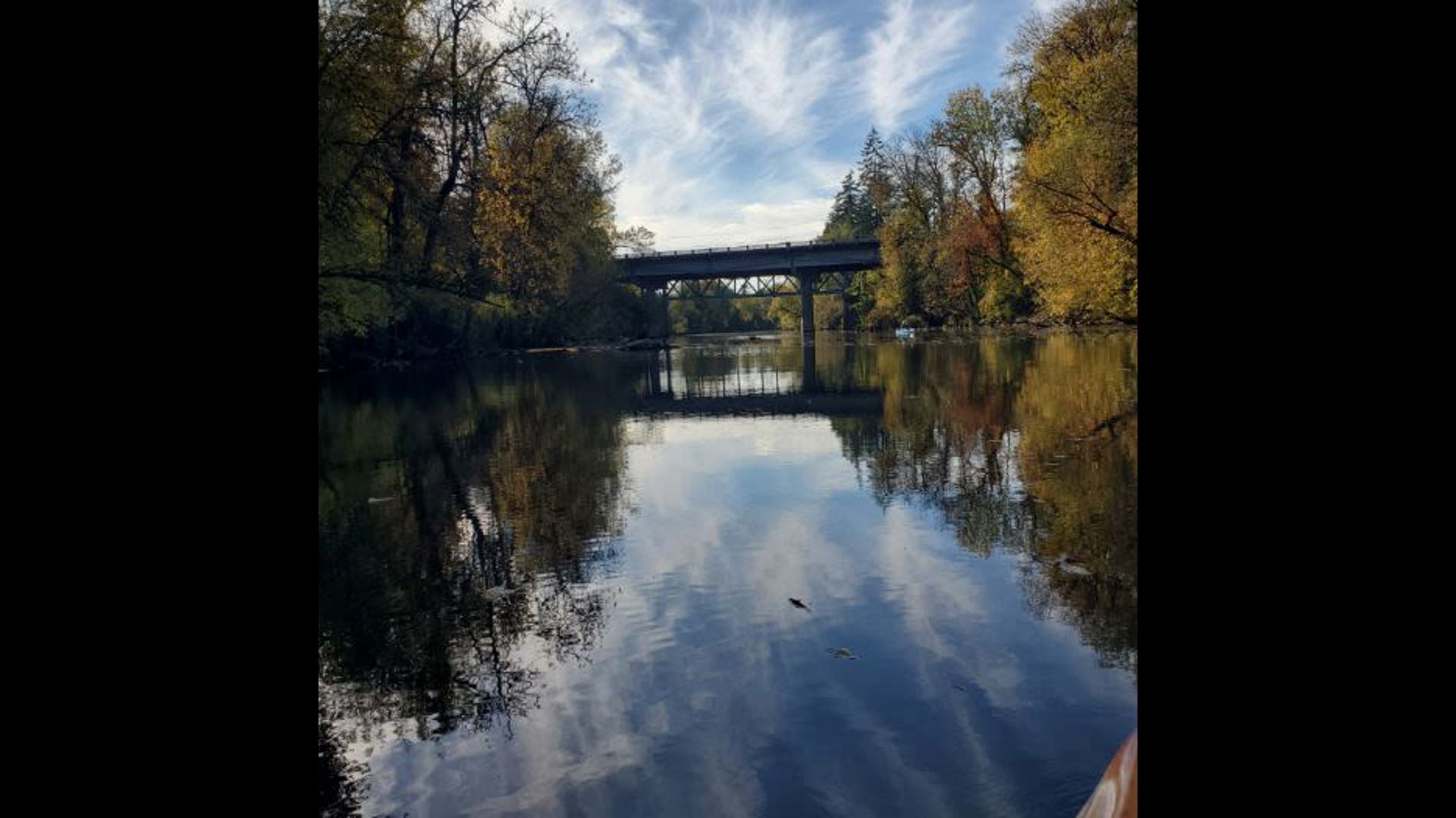 Near Me | Photos and Videos | kgw.com